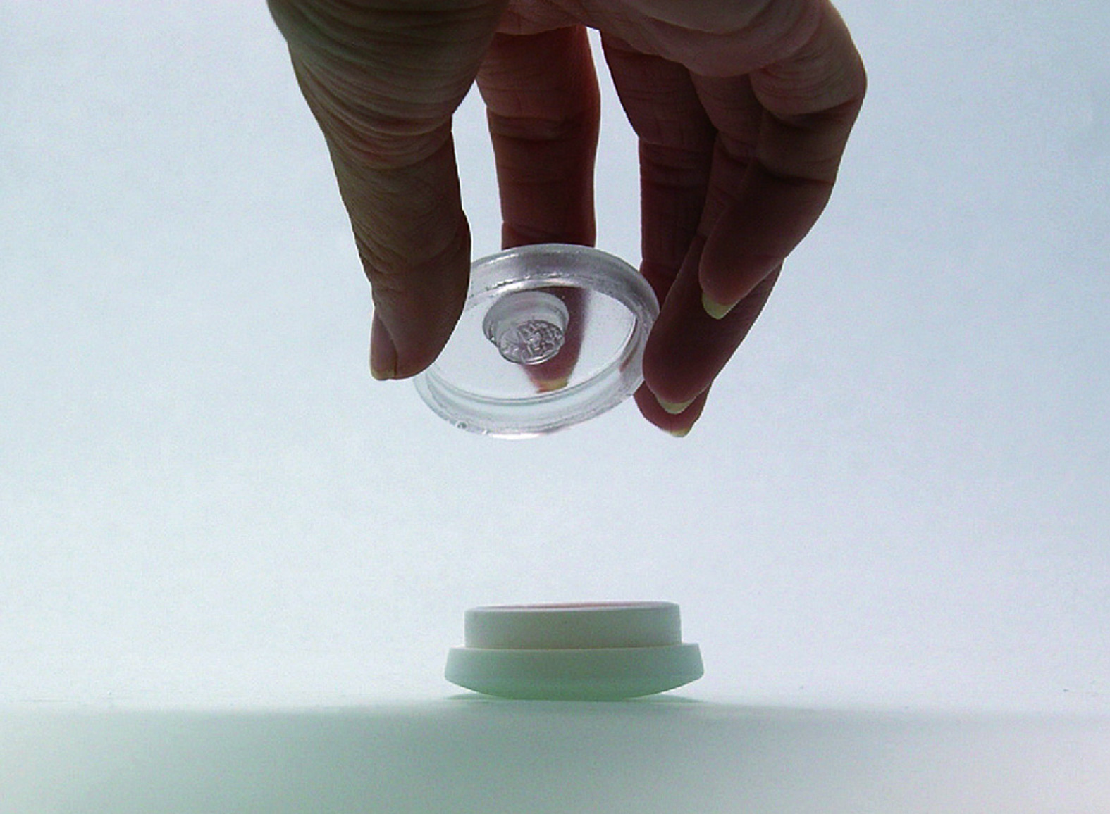 general goods – fujimotopro